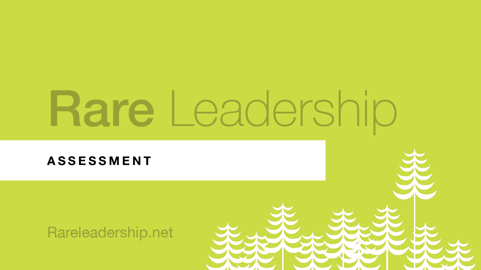 Downloads - Rare Leadership